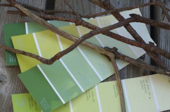 Paint Chip Apple Tree Craft for Preschoolers - Happy Hooligans