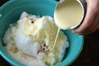 3-Ingredient SNOW Ice Cream Made with Real Snow - Happy Hooligans